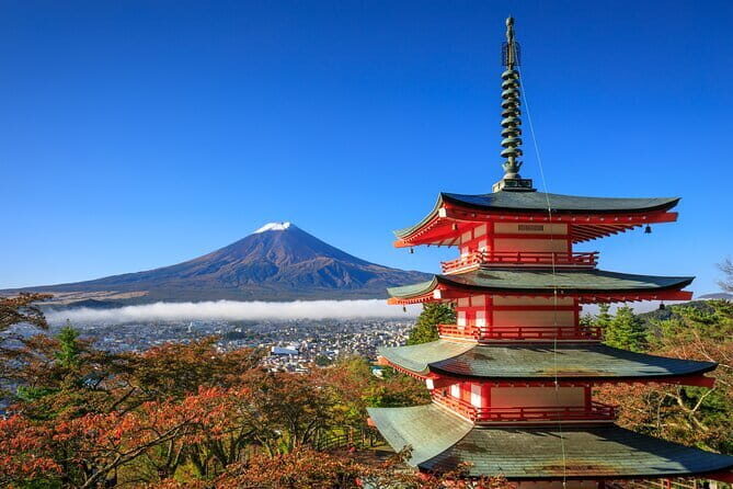 Mt. Fuji or Hakone Private Sightseeing Day Trip From Tokyo - Start in Tokyo: The Convenience of a Morning Pickup
