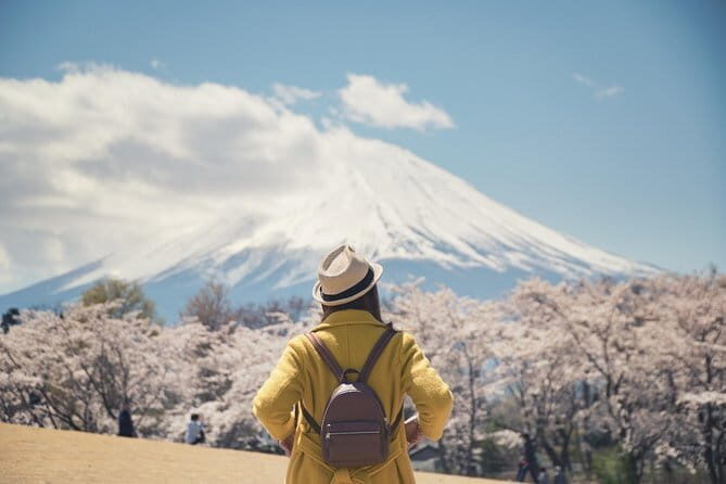 Mt. Fuji or Hakone Private Sightseeing Day Trip From Tokyo - Cultural Visit: Oshino-mura