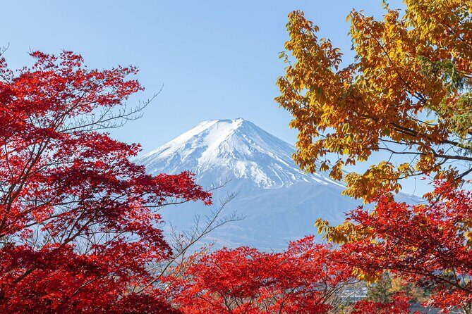 Mt. Fuji Oshino Hakkai and Gotemba Outlets Tour - The Sum Up