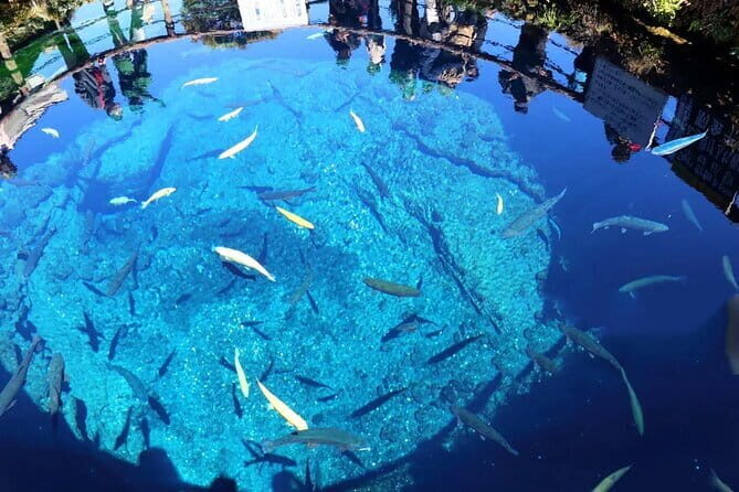 Mt Fuji Oshino Hakkai Gotemba Hot Spring tour from Tokyo/Shinjuku - Key Points