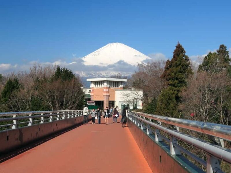 Mt.Fuji, Oshino Hakkai, Gotemba Outlet 1 Day Tour from Tokyo - An In-Depth Look at the Tour Experience