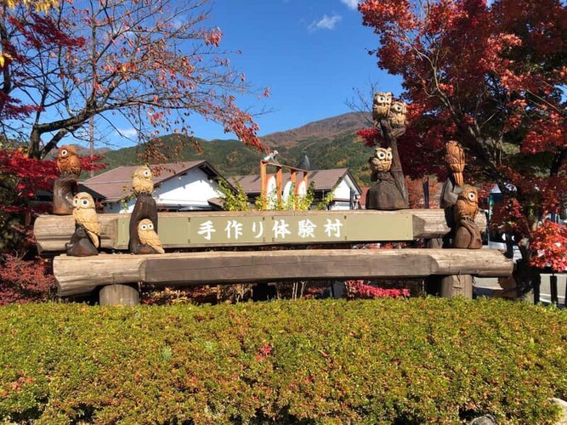 Mt.Fuji, Oshino Hakkai, Gotemba Outlet 1 Day Tour from Tokyo - Who Is This Tour Best For?