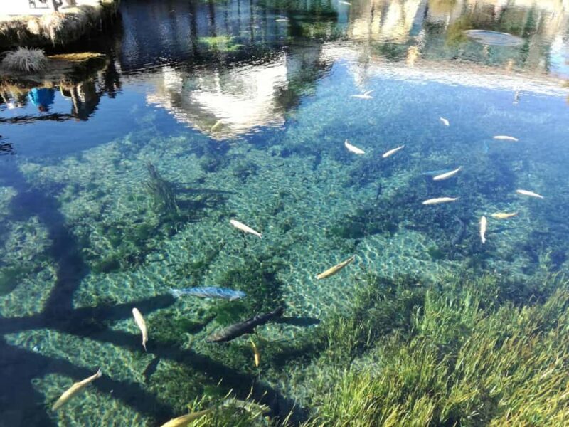 Mt.Fuji, Oshino Hakkai, Gotemba Outlet 1 Day Tour from Tokyo - Final Thoughts