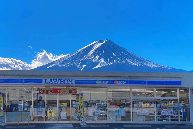 Mt. Fuji Panoramic Ropeway, Oshino Hakkai & Sightseeing Day Tour - The Mount Fuji Panoramic Ropeway