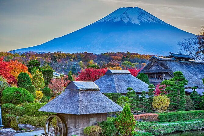 Mt. Fuji Panoramic Ropeway, Oshino Hakkai & Sightseeing Day Tour - Flexibility in the Itinerary