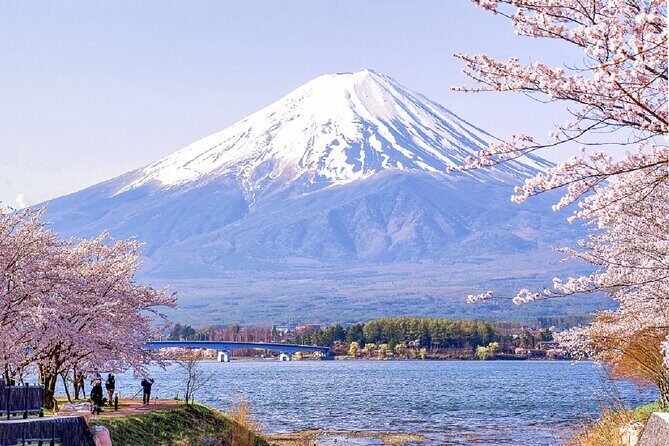 Mt Fuji Pilgrimage Full Day Tour with 7 Must See Scenic Spots - Final Thoughts