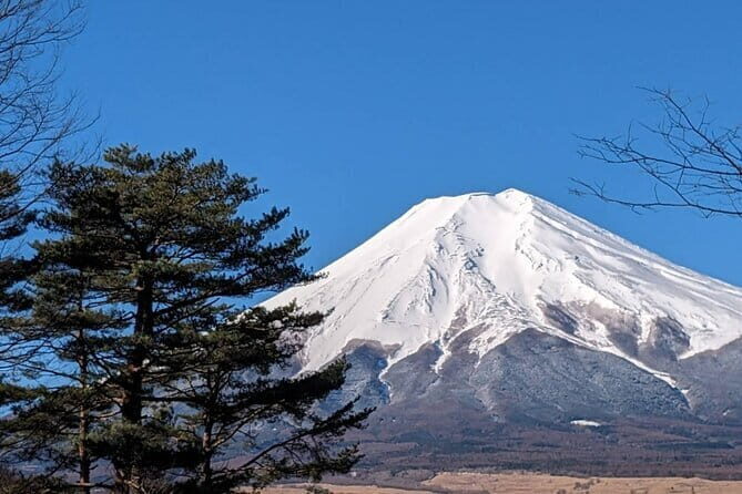 Mt. Fuji Private Car Tour from Tokyo - Key Points