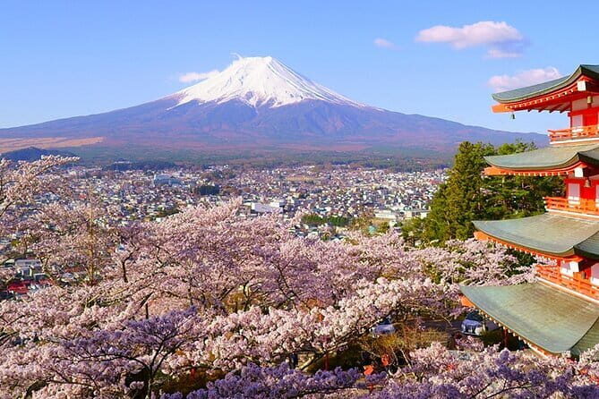 Mt. Fuji Private Car Tour from Tokyo - Practical Details & Value