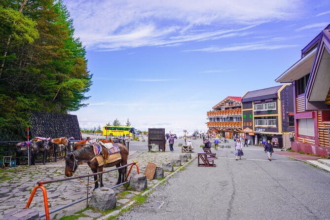 Mt. Fuji Private Chartered Tour with Nature & Wasabi Farm - Itinerary Breakdown: A Day Rich in Sightseeing and Cultural Insight