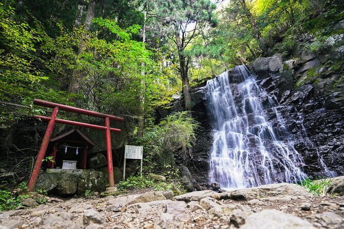 Mt. Fuji Private Chartered Tour with Nature & Wasabi Farm - Final Thoughts: Is This Tour Right for You?