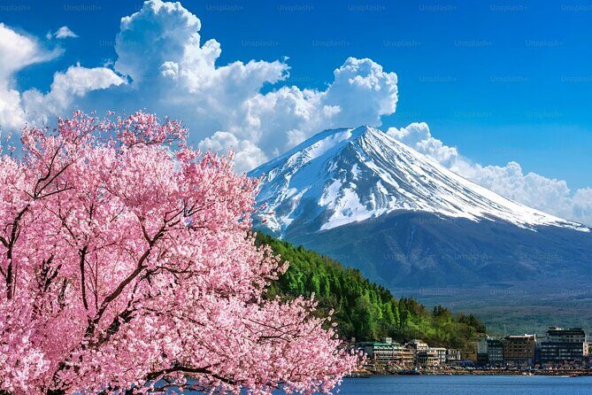 Mt. Fuji Private Customized Day Tour - The Itinerary: A Closer Look