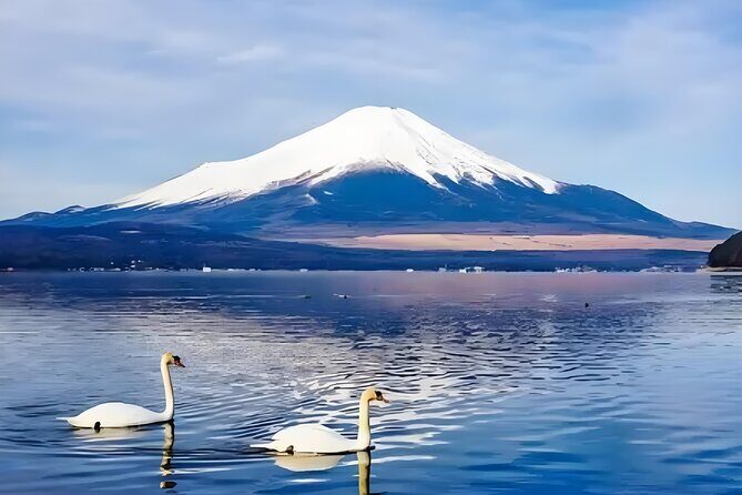 Mt. Fuji Private Customized Day Tour - Who Would Love This Tour?