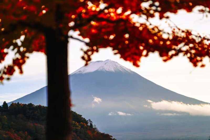 MT Fuji Private Day Tour in Luxury Car - Key Points