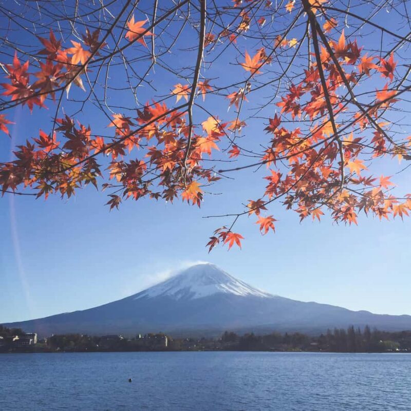 MT Fuji Private Day Tour in Luxury Car - The Itinerary: A Day Around Fuji with Depth