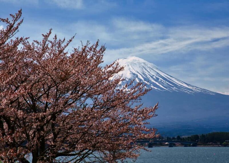 MT Fuji Private Day Tour in Luxury Car - Value and Cost Analysis