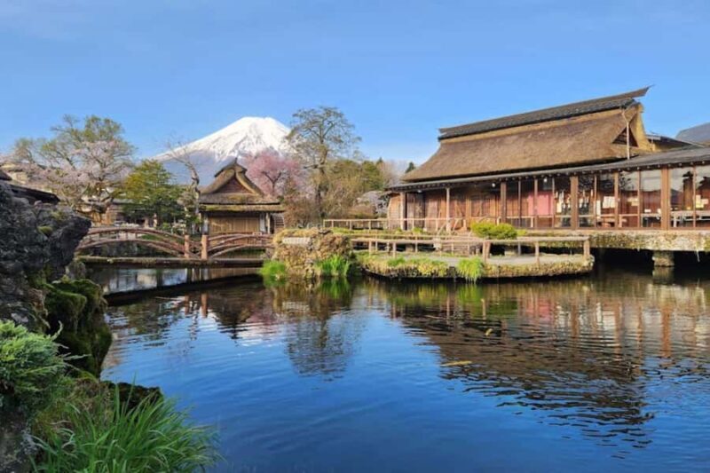 Mt. Fuji Private Day Tour: Luxury Car, Pagoda & Hidden Gems - Who Will Love This Tour?