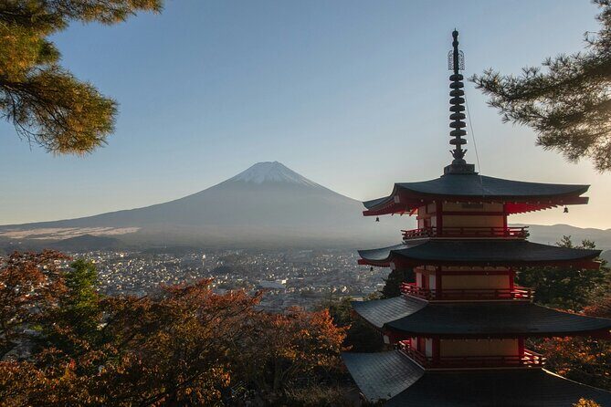 Mt.Fuji Private Day Trip from Tokyo with Driver & Top Photo Spots - Key Points
