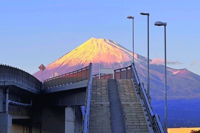 Mt.Fuji Private Day Trip from Tokyo with Driver & Top Photo Spots - FAQ