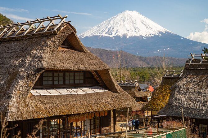 Mt Fuji Private Day Trip from Tokyo with English Speaking Driver - Key Points