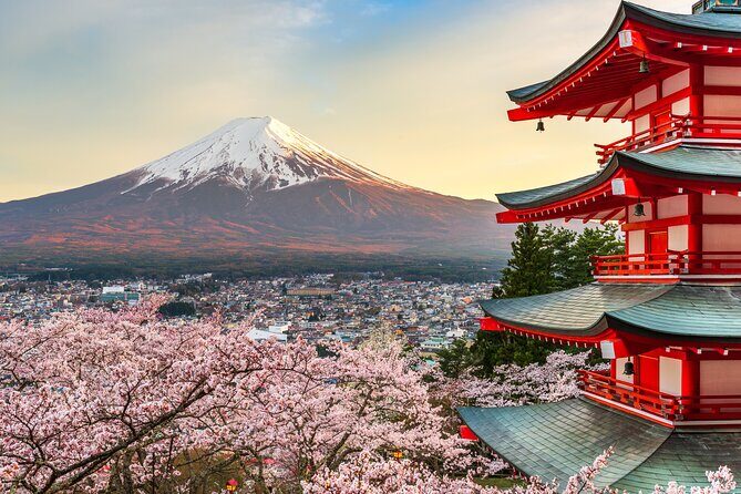 Mt Fuji Private Day Trip from Tokyo with English speaking driver - Key Points
