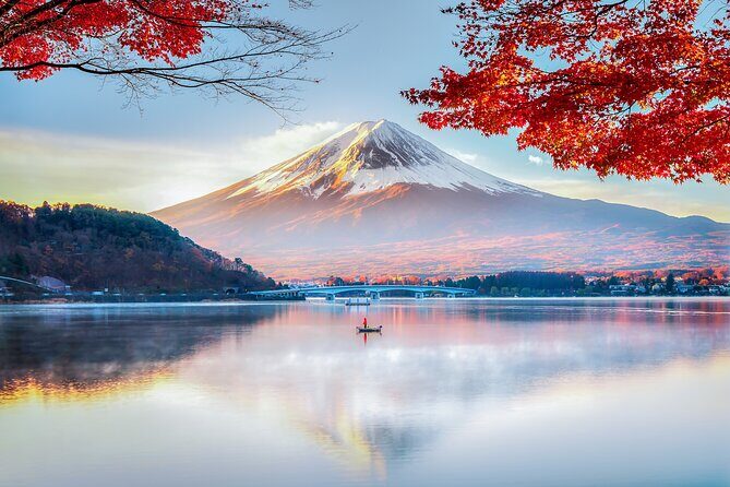 Mt Fuji Private Day Trip from Tokyo with English speaking driver - Introduction: Is this Tour Right for You?