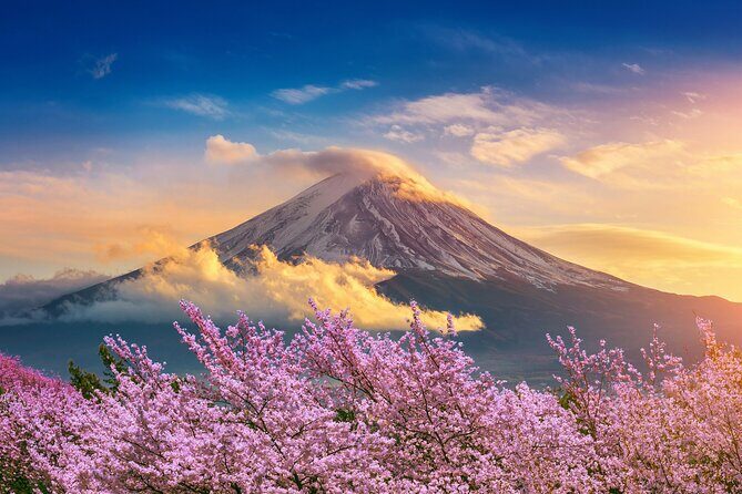Mt Fuji Private Day Trip from Tokyo with English speaking driver - Frequently Asked Questions