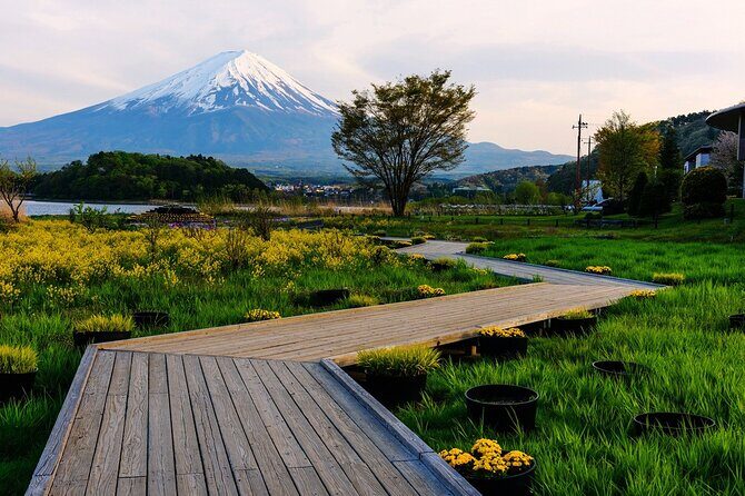 Mt.Fuji Private SightSeeing Day Tour (From Tokyo) - FAQ