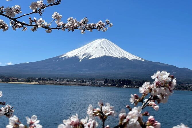 Mt Fuji Private Sightseeing Tour from Tokyo - A Full Breakdown of the Experience