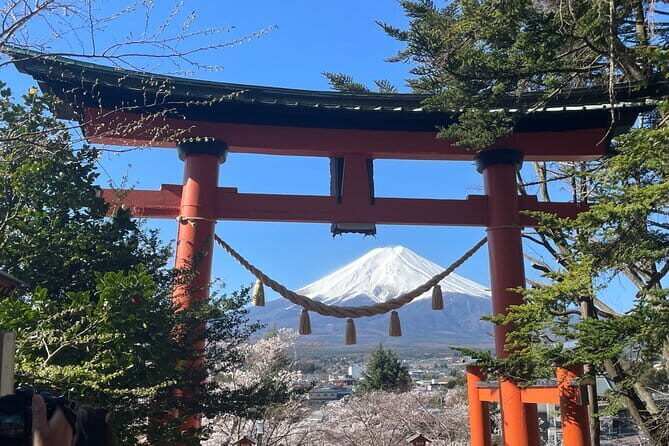 Mt Fuji Private Sightseeing Tour from Tokyo - Who Will Love This Tour?