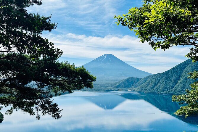 Mt. Fuji Private Taxi Tour Discover Hidden Spots with Guide - Key Points