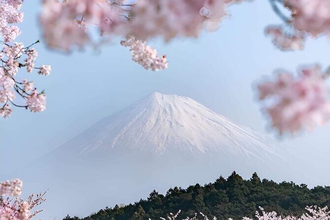 Mt Fuji Private Tour with English speaking driver - An In-Depth Look at the Tour Itinerary