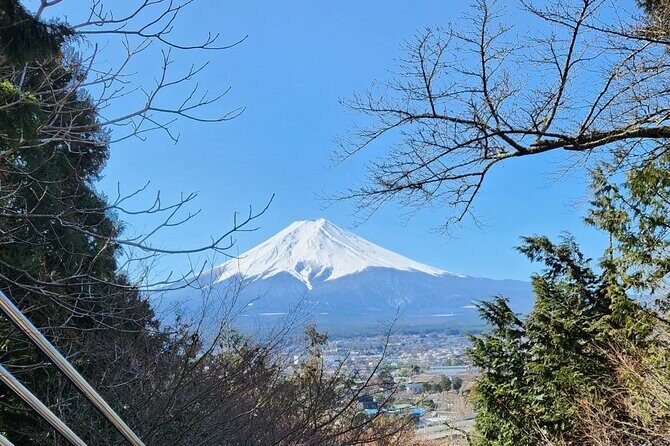 Mt Fuji Private Tour with English Speaking Driver - Why Travelers Rave About This Tour