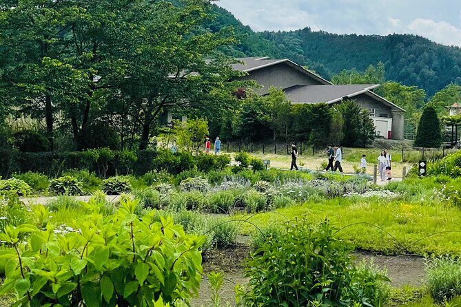 Mt Fuji Private Tour with English Speaking Driver - The Experience You Can Expect