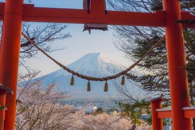 Mt Fuji Private Tour with English Speaking Driver - Final Thoughts