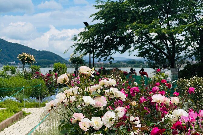 Mt Fuji Private Tour with English Speaking Driver - FAQ