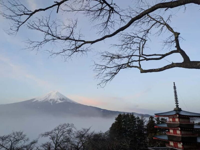 Mt. Fuji : Private Tour with Local Guide in English - Why Guides Matter