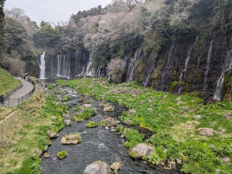 Mt. Fuji : Private Tour with Local Guide in English - Final thoughts: Is it worth it?