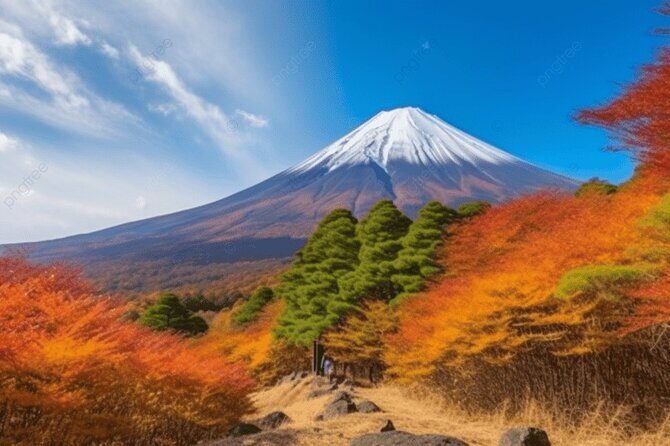 Mt Fuji Private Tour with Native Japanese Driver - The Sum Up: Who Would Love This Tour?
