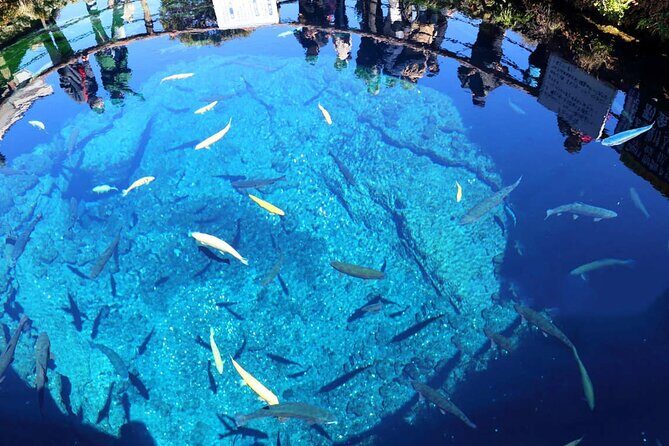 Mt. Fuji Scenic Day Tour Arakurayama Tendi Oshino and Kawaguchiko - Who Will Love This Tour?