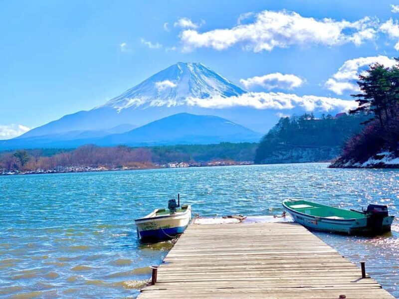 Mt.Fuji Scenic Day Trip:Lake Ashi, Volcanic Cable Car,Shrine - Key Points