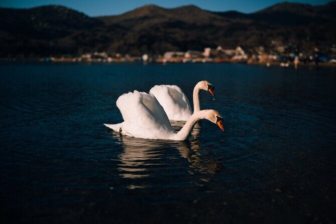 Mt. Fuji Scenic Lakes and Oshino Hakkai Private Tour - Who Should Consider This Tour?