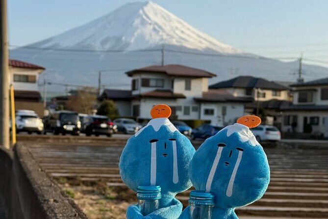 Mt. Fuji Scenic Lakes and Oshino Hakkai Private Tour - FAQ