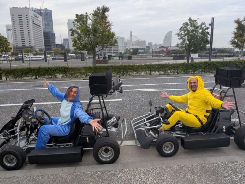 Mt.Fuji: Scenic Tour by Go-Kart with Tour Guide (90 minutes) - Who Should Consider This Tour?