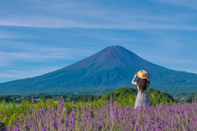 Mt. Fuji Scenic Tour: Lake Kawaguchi & Farm Experience - Oishi Park and Lake Kawaguchi: Where Views Are the Main Attraction