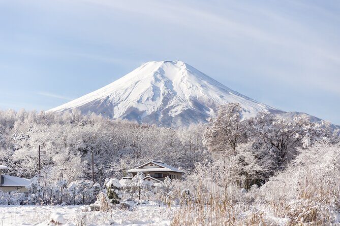Mt. Fuji Scenic Tour: Lakes, Oshino Hakkai & Chureito PagodaTour - FAQ