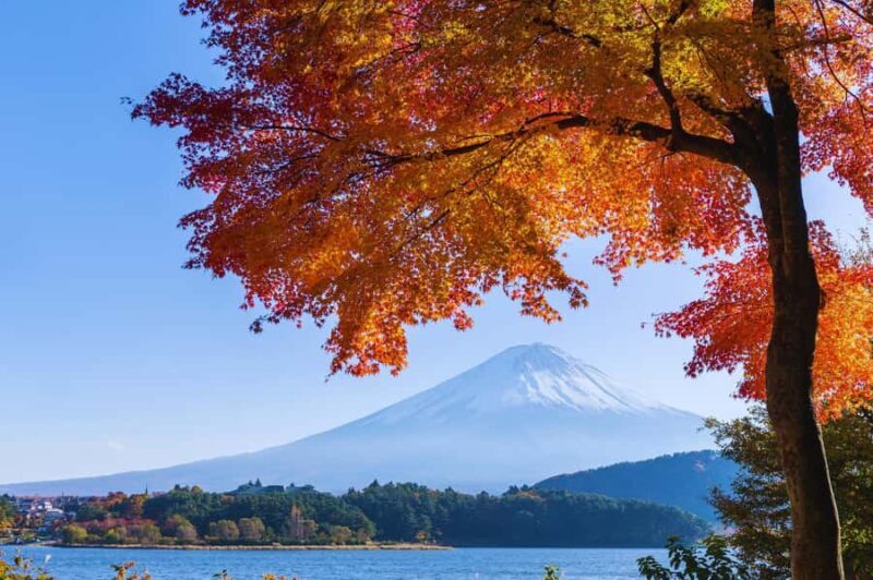 Mt. Fuji Scenic Train & Lake Kawaguchi Day Tour from Tokyo - Who Should Consider This Tour?