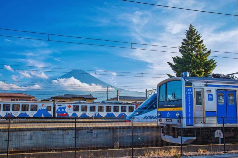 Mt. Fuji Scenic Train & Lake Kawaguchi Day Tour from Tokyo - FAQ