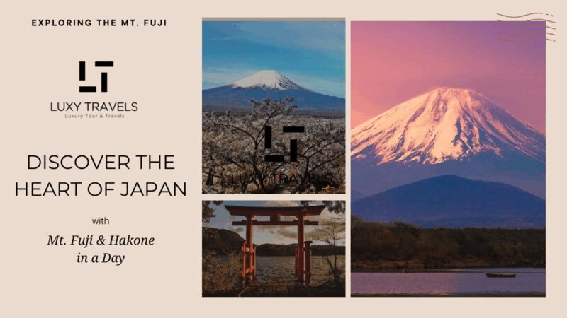 Mt Fuji Sightseeing Private tour with English Speaking Guide - Why Consider This Tour?