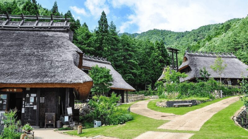 Mt Fuji Sightseeing Private tour with English Speaking Guide - Final Thoughts