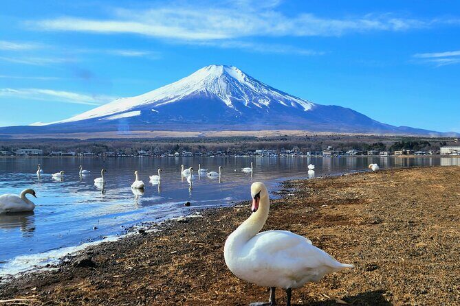 Mt. Fuji Signature 6 Scenic Spots One Day Tour from Tokyo - FAQ